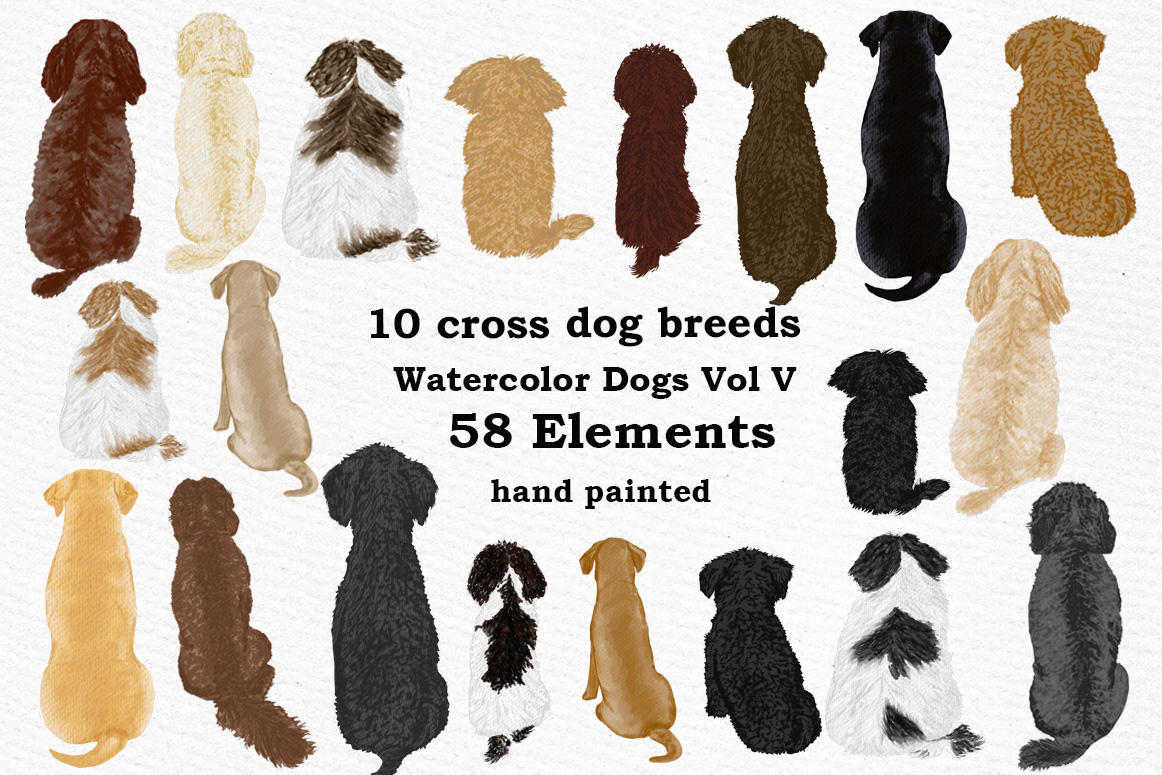 Dog Breeds Watercolor Graphic Png - free svg files for cricut