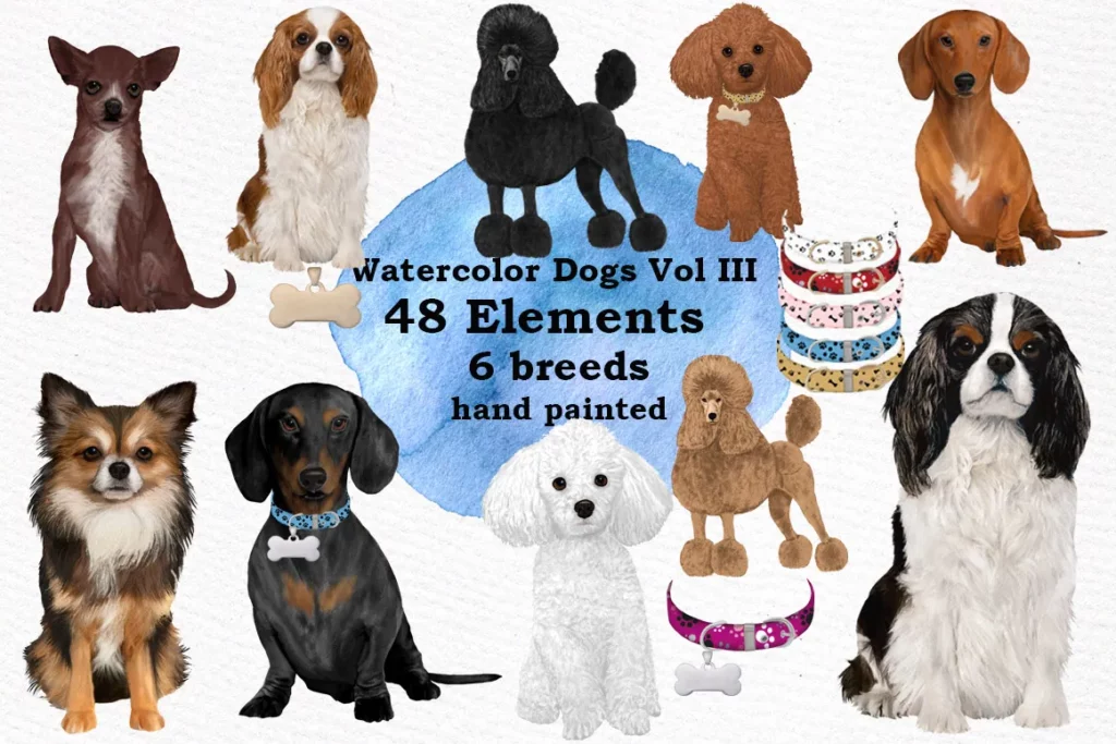 Dog Breeds Clipart Png Graphic Designs - free svg files for cricut